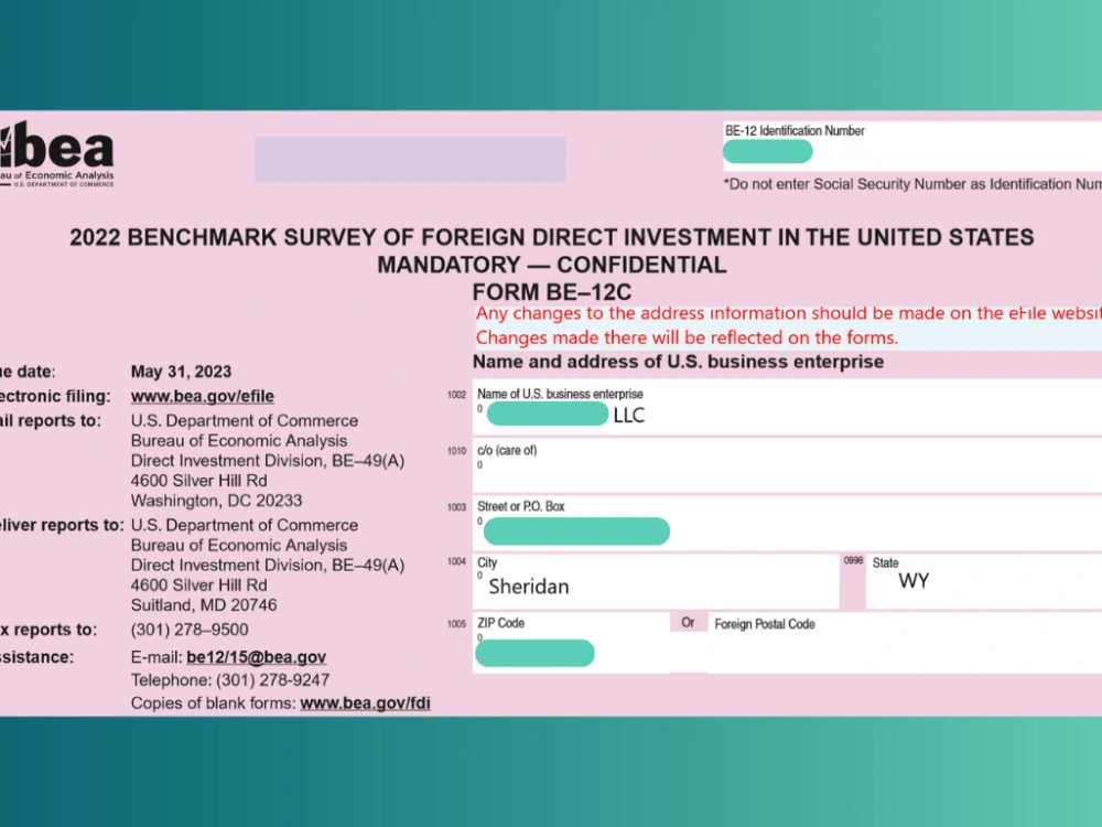 Your e-filing for BE-12 benchmark survey at BEA | Upwork