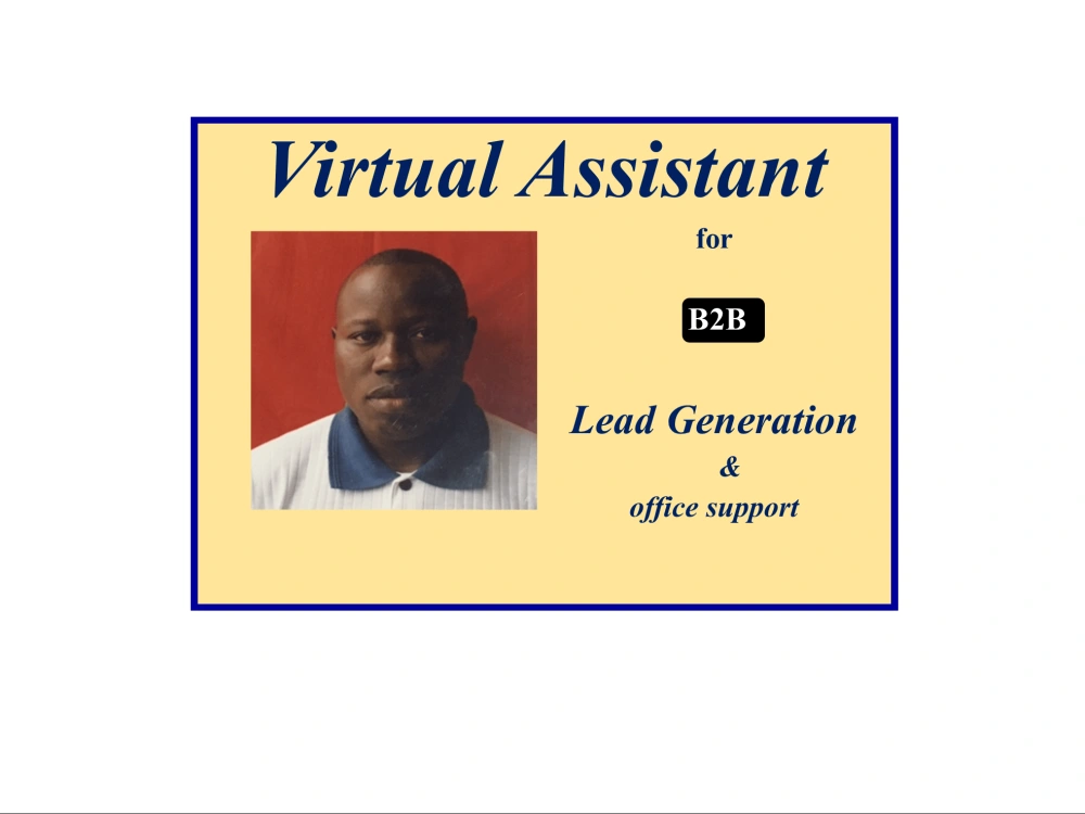 A Remote Virtual Assistant for B2B Lead Generation and Office Support ...