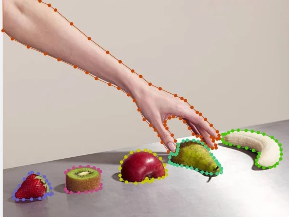 Annotate image annotation data annotation labelling tagging | Upwork