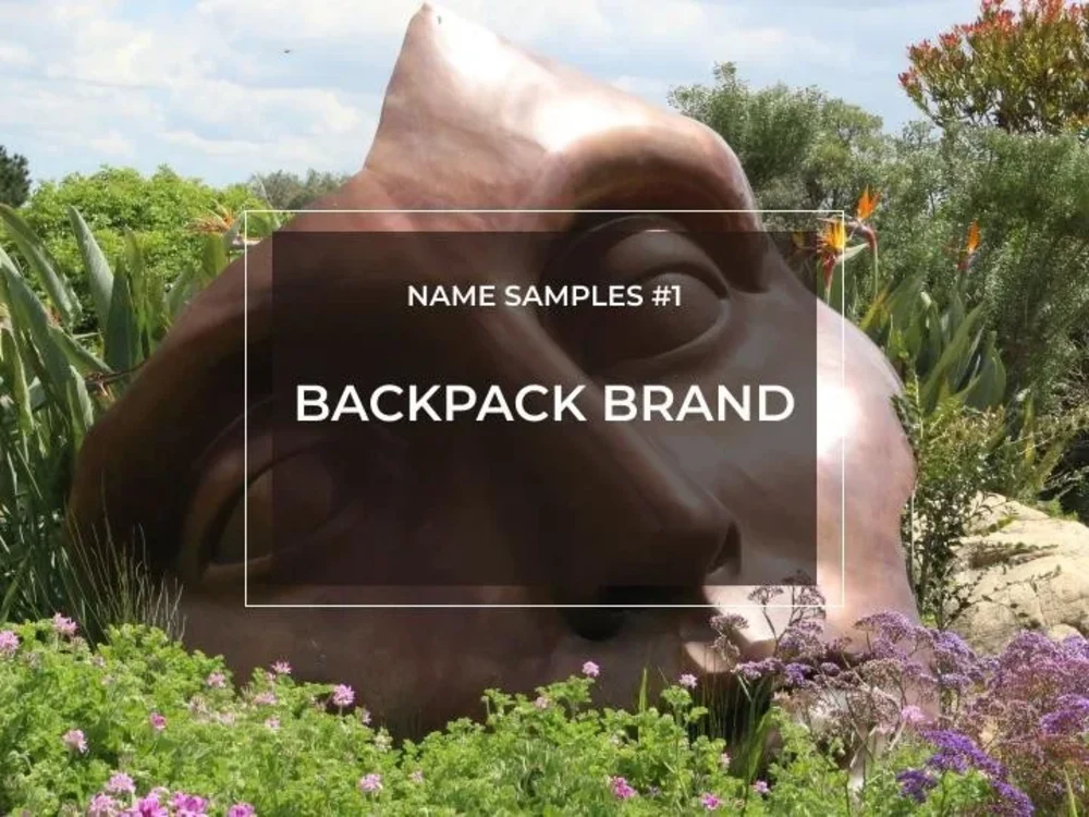 A set of professional premium brand names for your company | Upwork