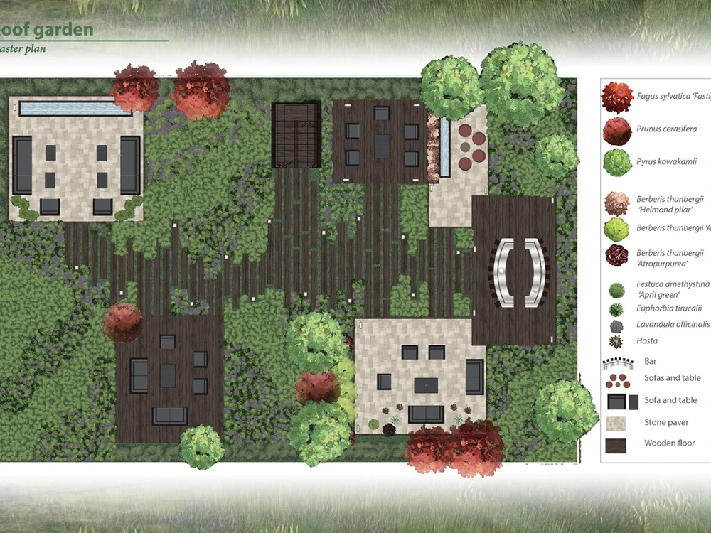 A 2D landscape plan | Upwork