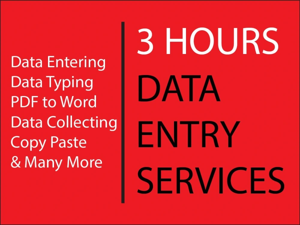 3 hours of data entry work | Upwork