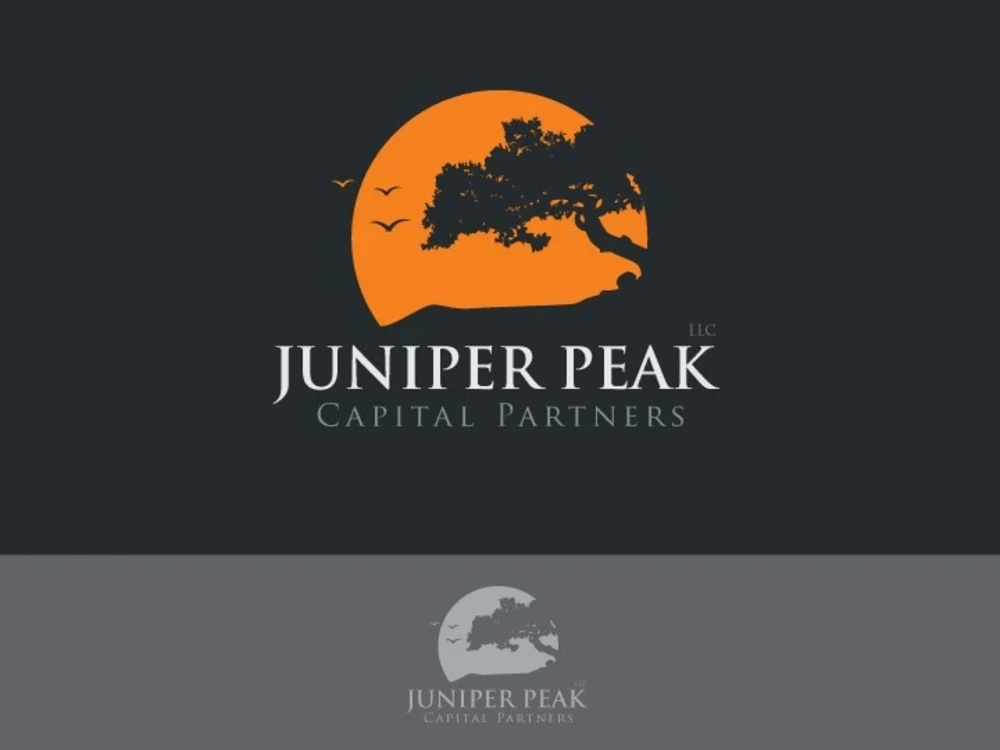 Custom Vector Logo Design and Unlimted Revsions | Upwork