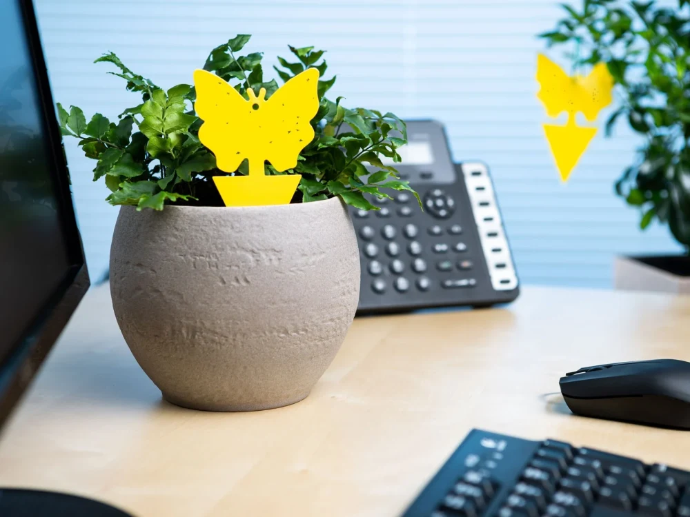 Stunning lifestyle product images, one lifestyle setup | Upwork