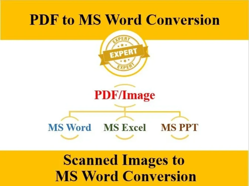 Professional PDF to MS Word Conversion | Error-Free, Fast, and Accurate ...