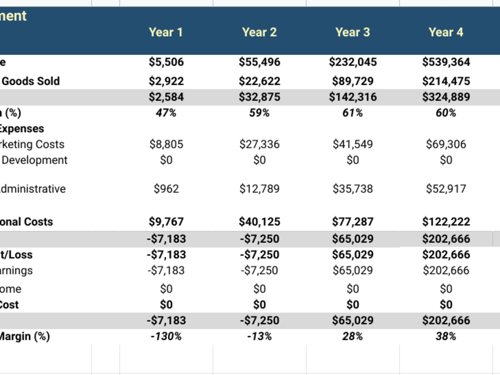 A SaaS financial model, 5-year projection, and pro forma statements ...