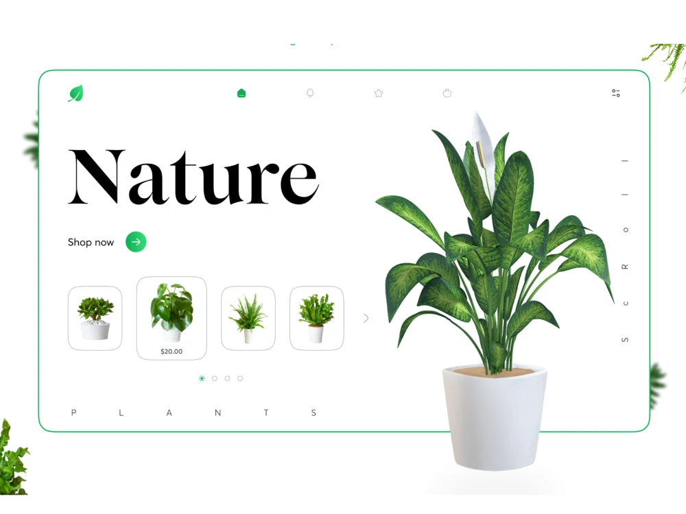 Creative web design, app UI design and dashboard UI for your business ...