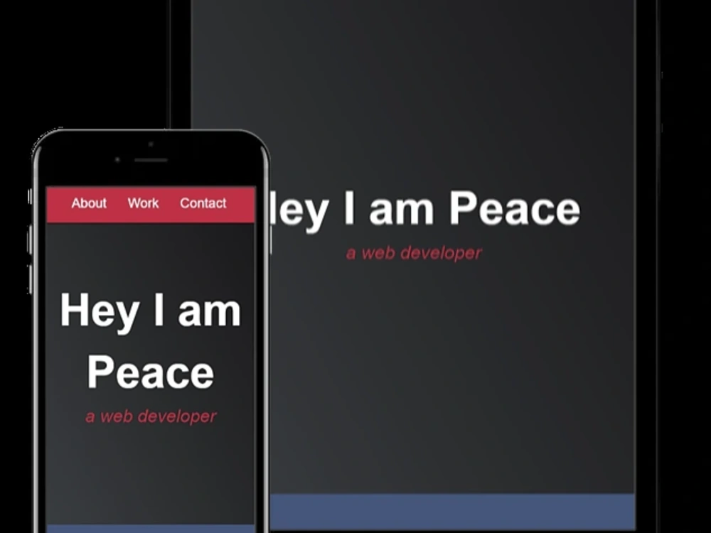 A well-assembled HTML and CSS website | Upwork