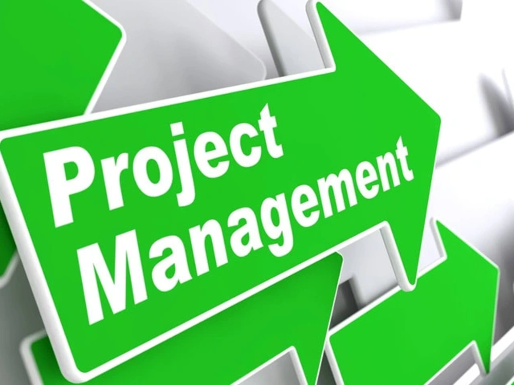 Project management support for your startup | Upwork