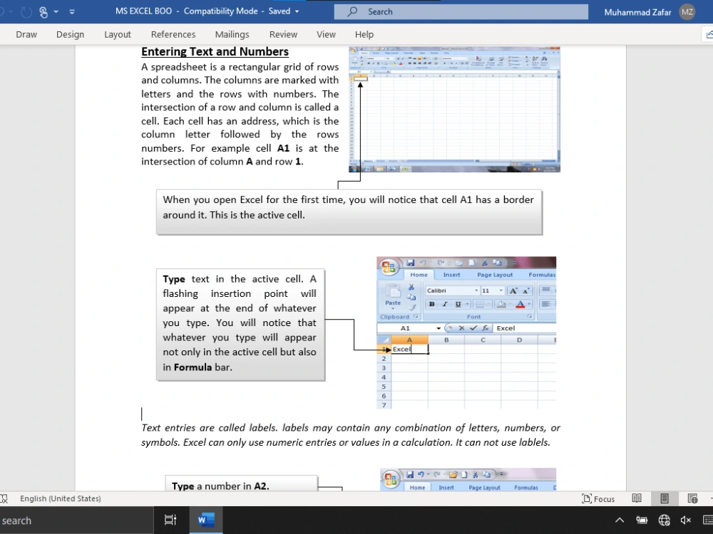 Professionally created MS Word documents, Formats, Tables, Charts ...
