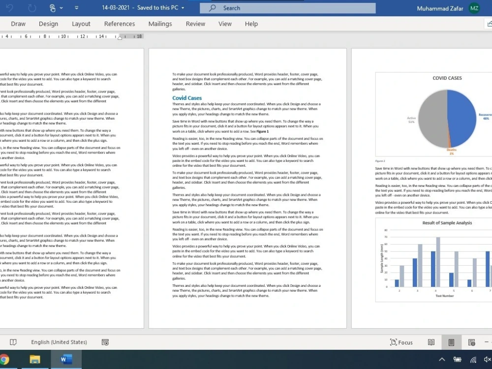 Professionally created MS Word documents, Formats, Tables, Charts ...