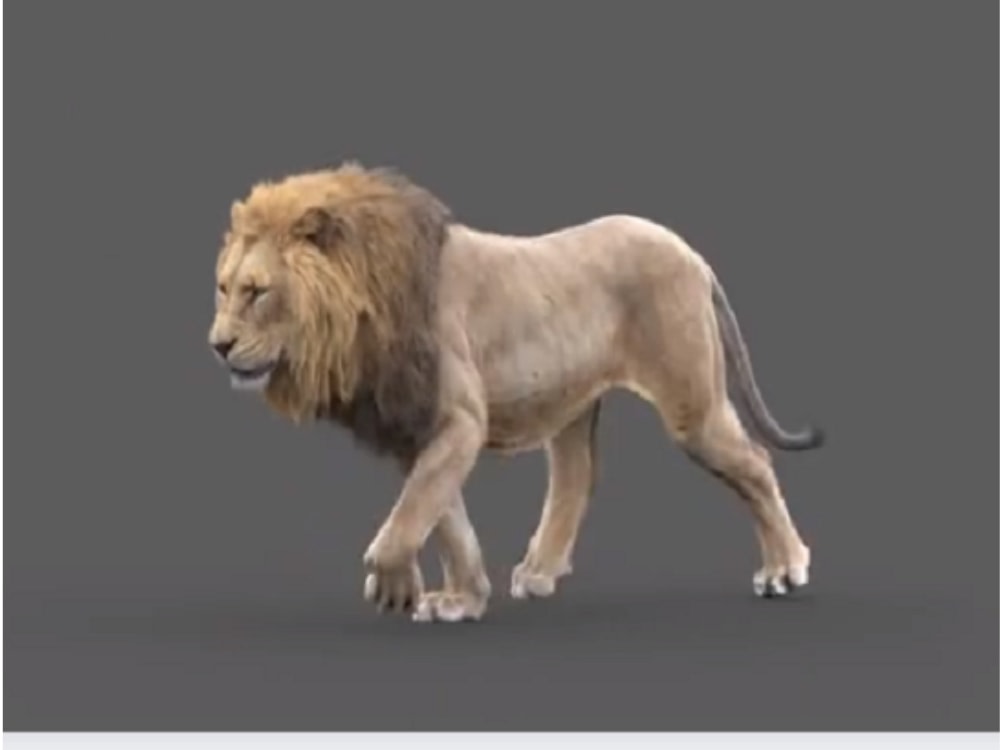 Render a realistic 3d animal animation,3d animal model, 3d bird design ...