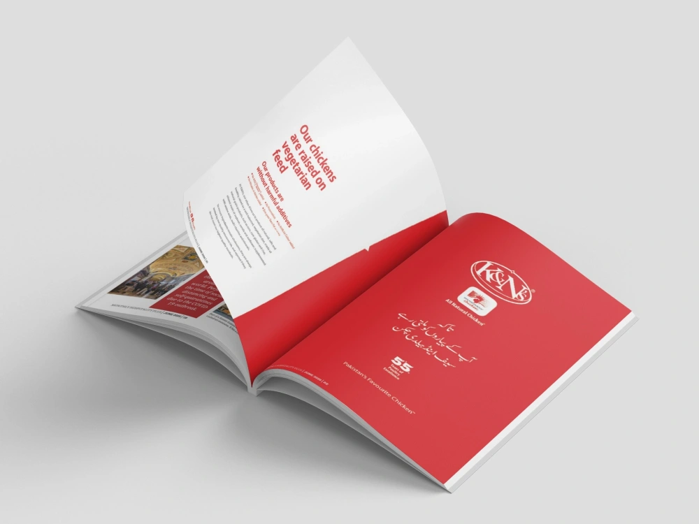 Professional Magazine design Layout | Upwork