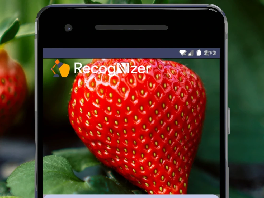 A ML powered image classification app designed for any circumstances ...