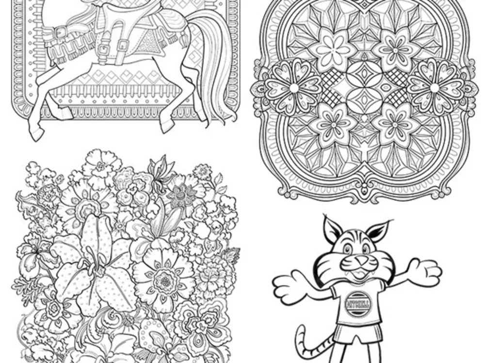 HIGH QUALITY LINE ART ILLUSTRATION | Upwork