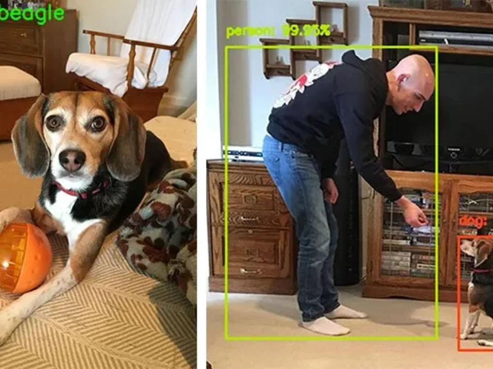 A State Of The Art Object Detection Model For Your Custom Dataset Upwork