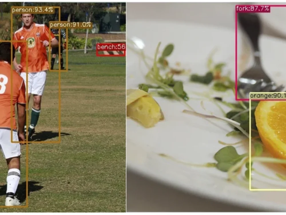 A State Of The Art Object Detection Model For Your Custom Dataset Upwork