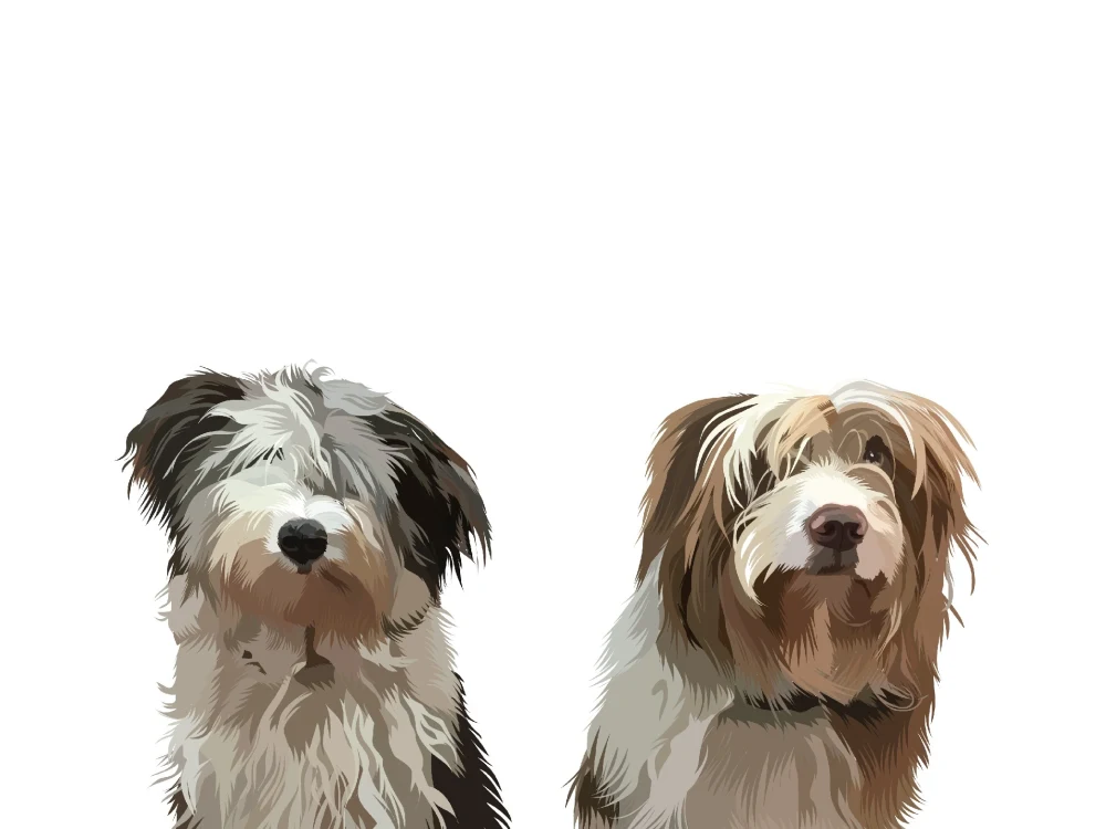 Digital Vector Pet portrait ready for printing | Upwork