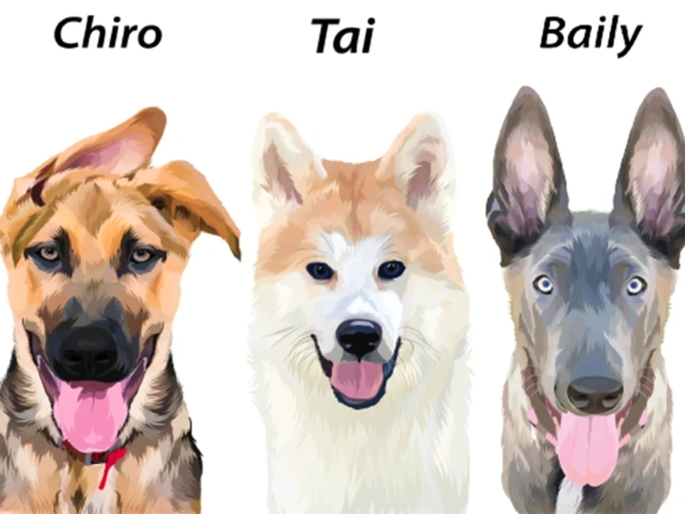 Digital Vector Pet portrait ready for printing | Upwork