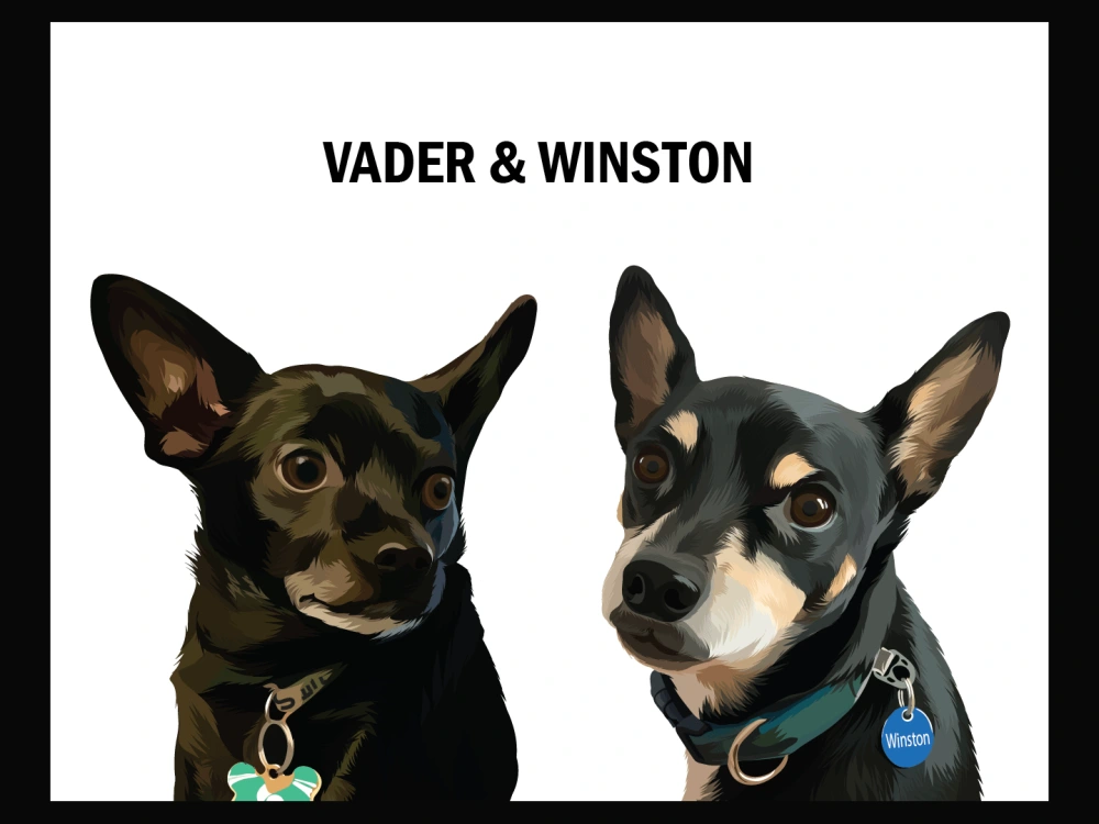 Digital Vector Pet portrait ready for printing | Upwork