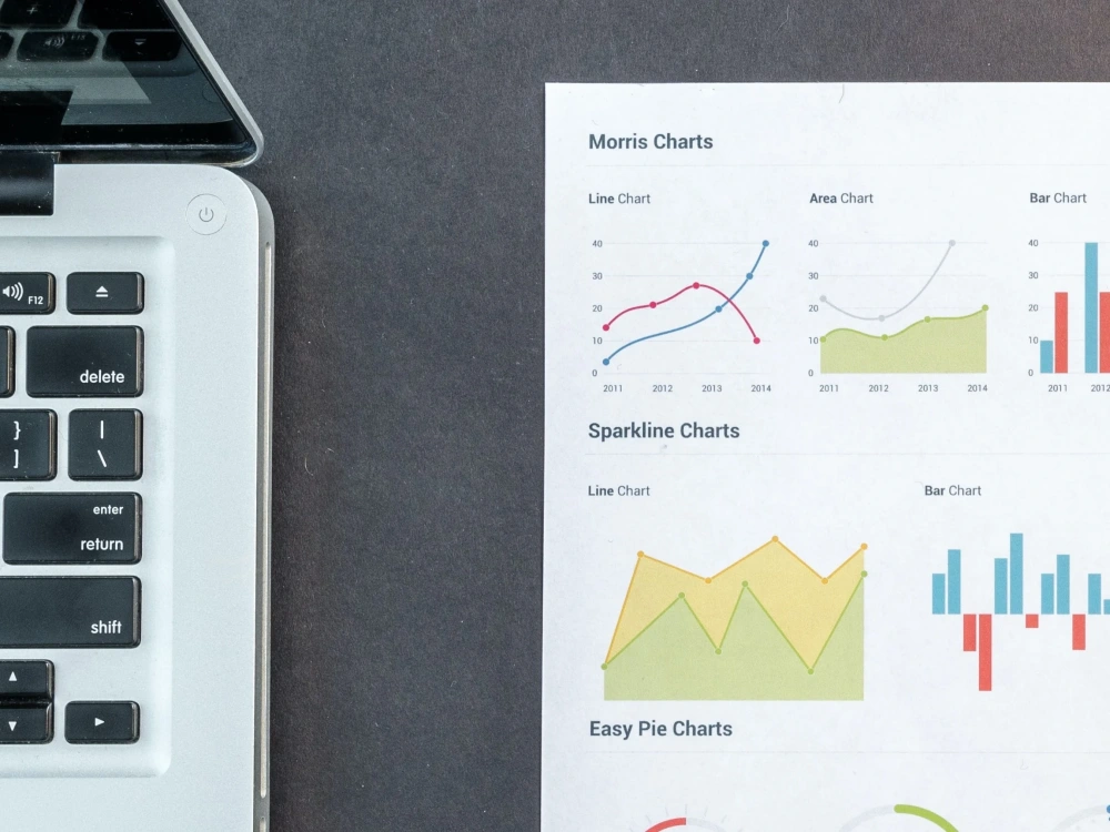 A neat Excel or CSV file with data compiled from your website(s) of ...