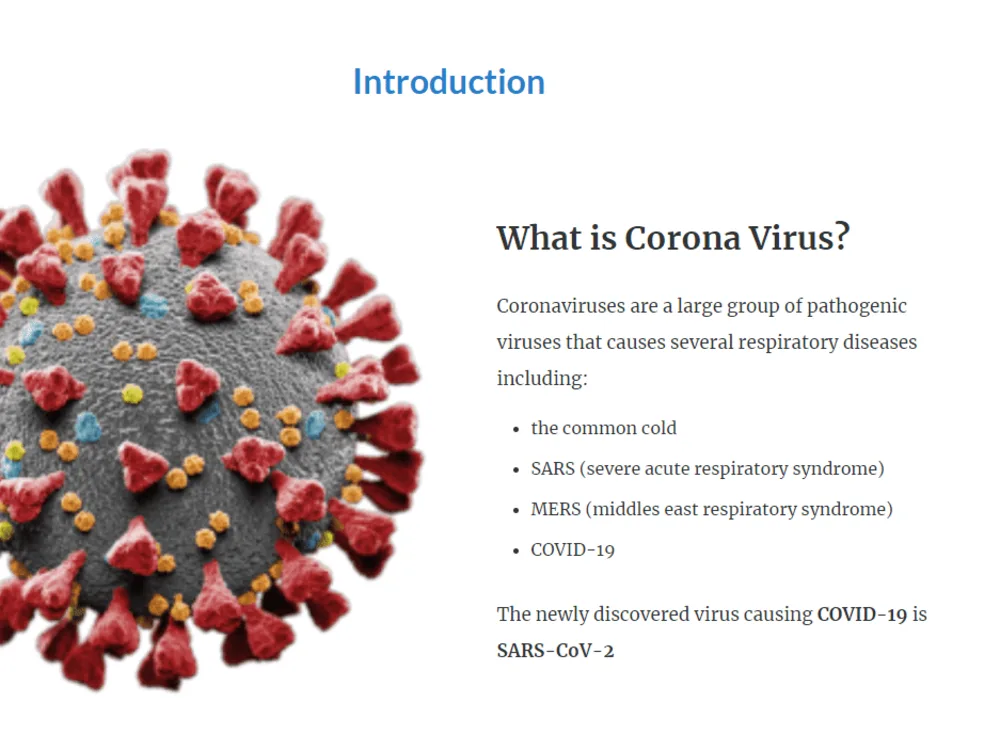 An attractive elearning course designed in Articulate Rise 360 | Upwork