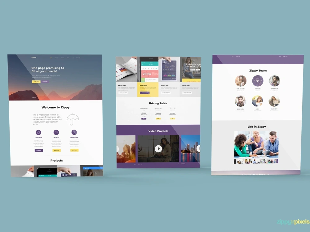 Install Wordpress Setup Theme Demo Import Do Customization Upwork