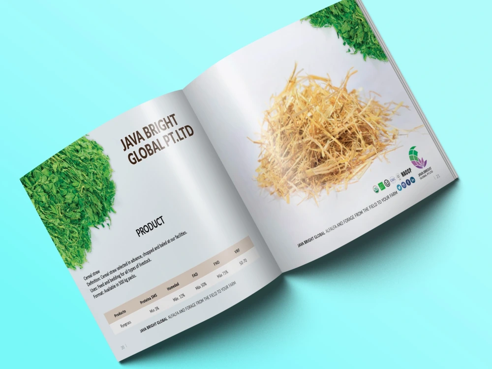 Brochure, booklet proposal, handout, layout to print | Upwork