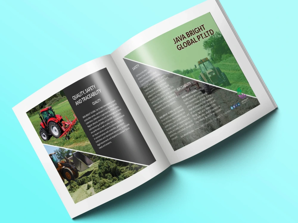 Brochure, booklet proposal, handout, layout to print | Upwork