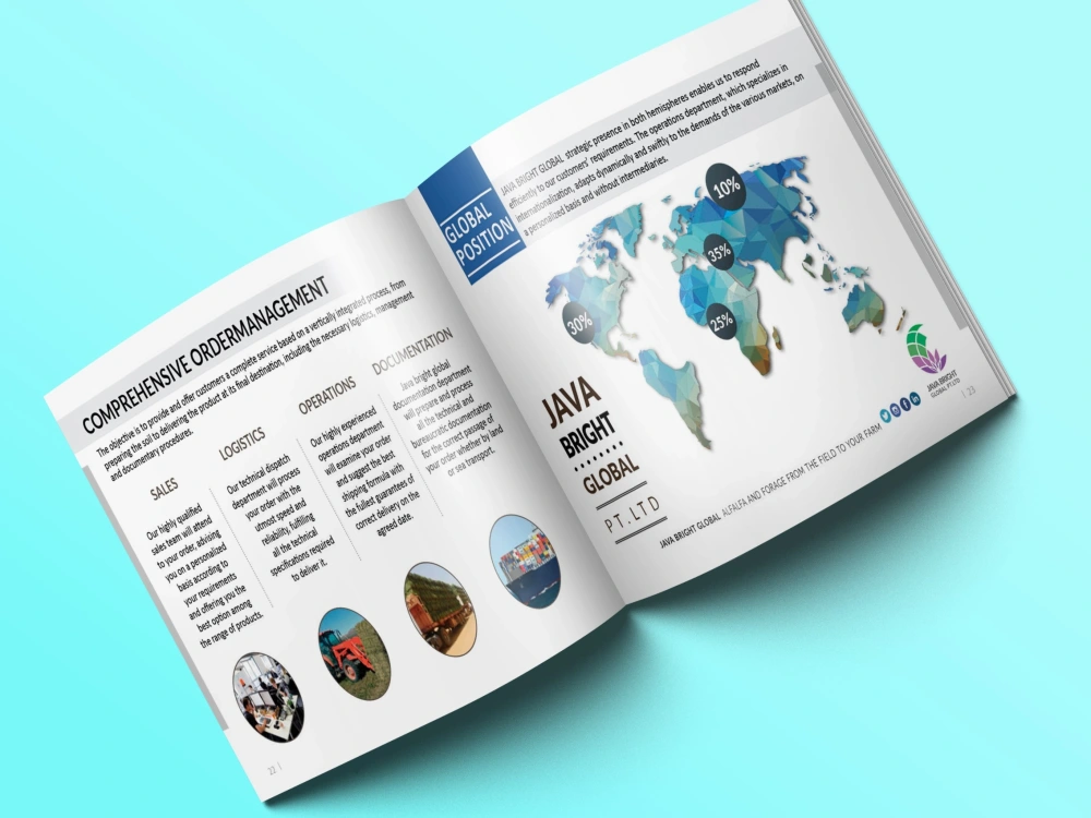 Brochure, booklet proposal, handout, layout to print | Upwork