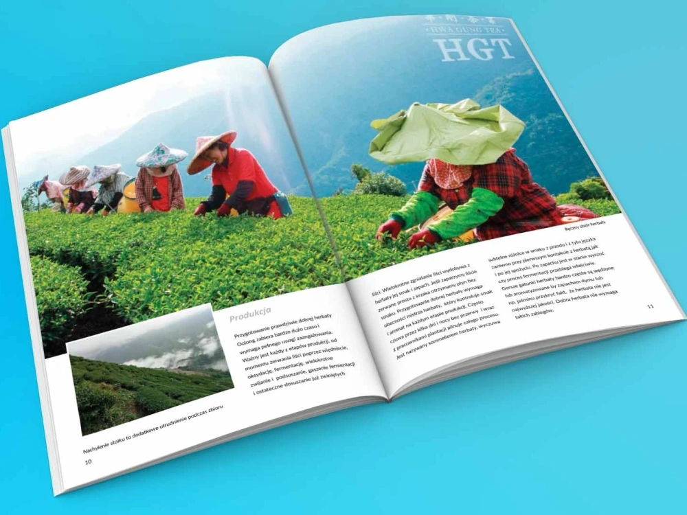 Brochure, booklet proposal, handout, layout to print | Upwork