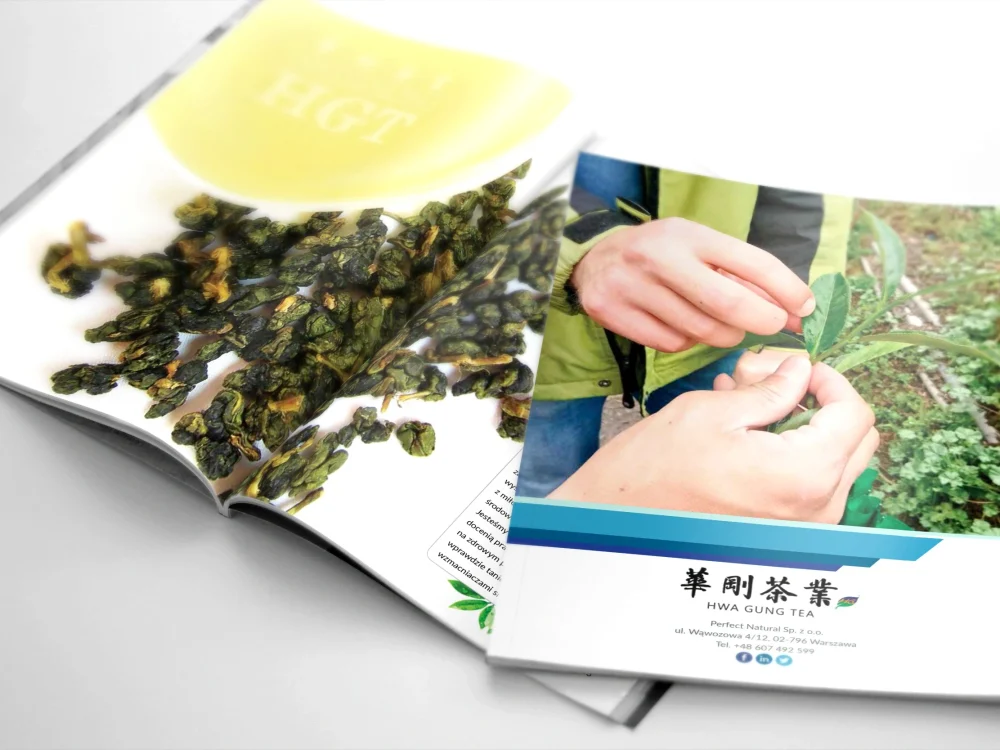 Brochure, booklet proposal, handout, layout to print | Upwork