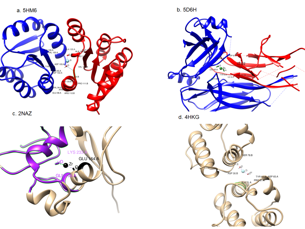 A complete protein structure, Docking, molecular simulation project ...