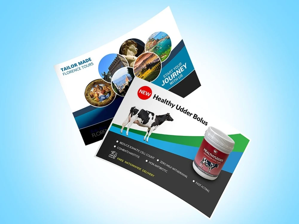 A professional Flyer design | Upwork