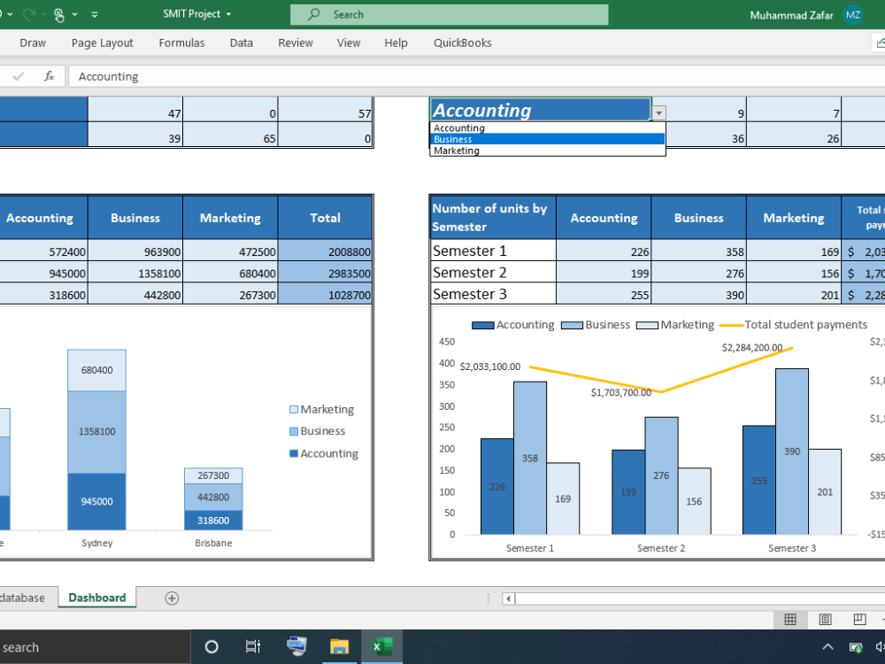 Professionally created Excel Sheet, Formula, Tables, Graphs and Charts ...