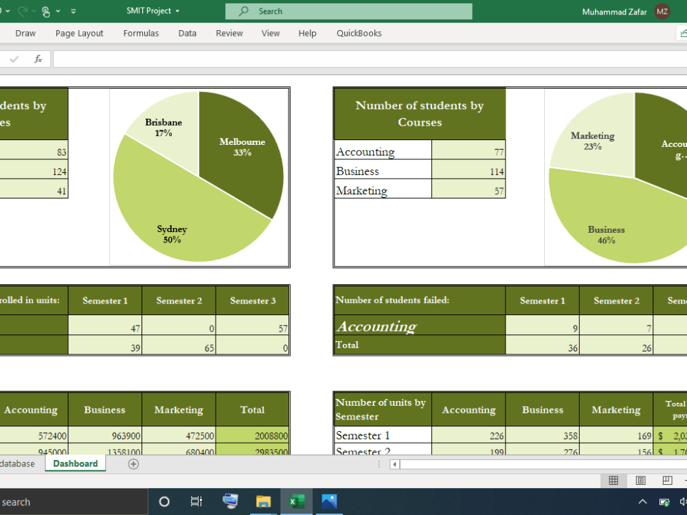 Professionally created Excel Sheet, Formula, Tables, Graphs and Charts. | Upwork