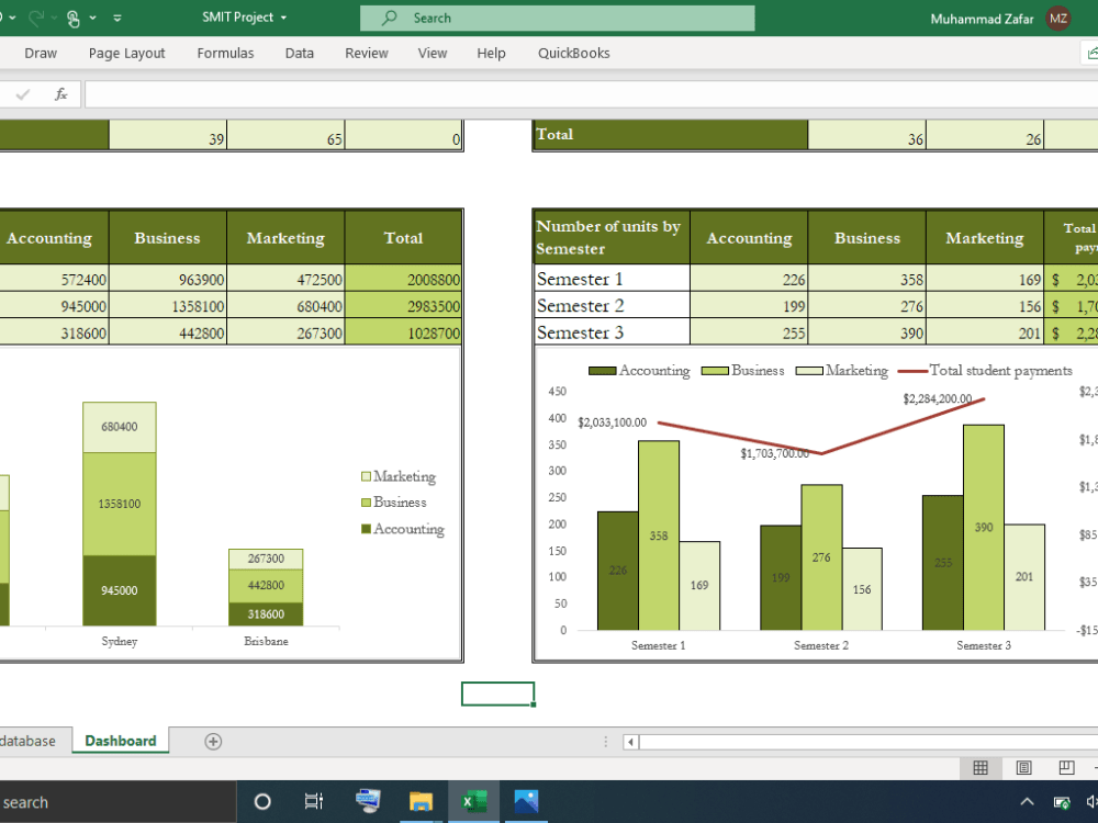 Professionally created Excel Sheet, Formula, Tables, Graphs and Charts. | Upwork