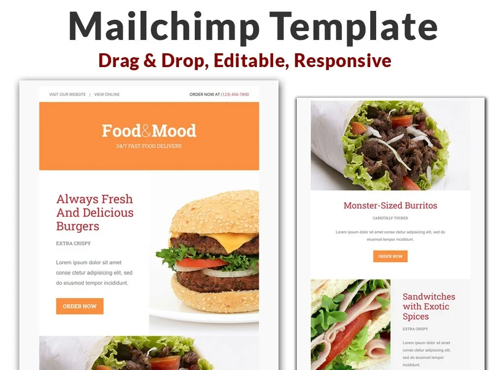 Editable mailchimp email template or email newsletter | Upwork