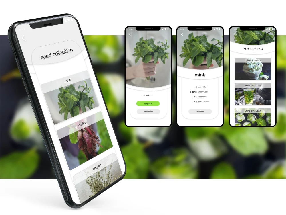 An amazing app design for your business | Upwork