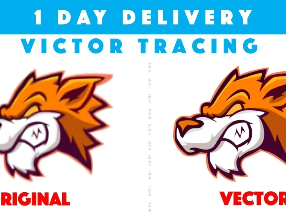 Perfect vector tracing graphics | Upwork