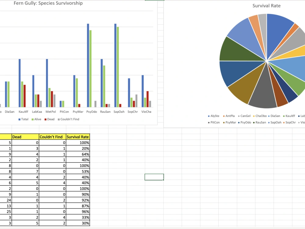 Data Entry and Organization | Upwork