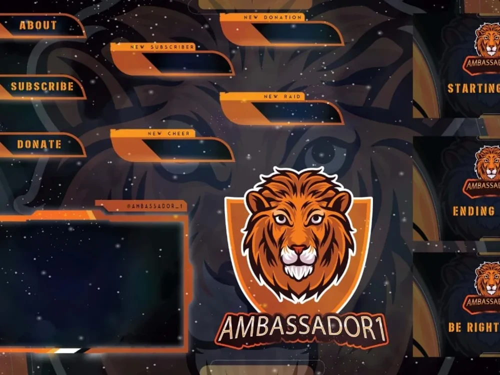 Custom animated twitch overlay or Streaming Graphic Design | Upwork