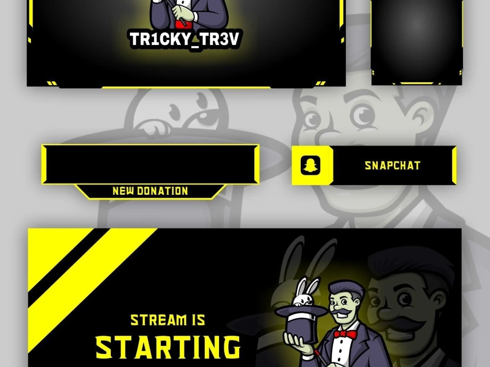 Custom animated twitch overlay or Streaming Graphic Design | Upwork