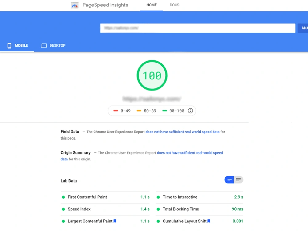 WordPress Speed Optimization to Improve Core Web Vitals FCP, LCP, TTI, CLS | Upwork
