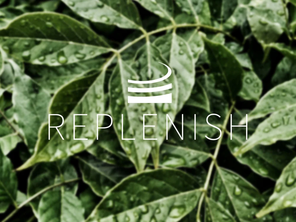 An aesthetically pleasing logo that is ideal for your business | Upwork