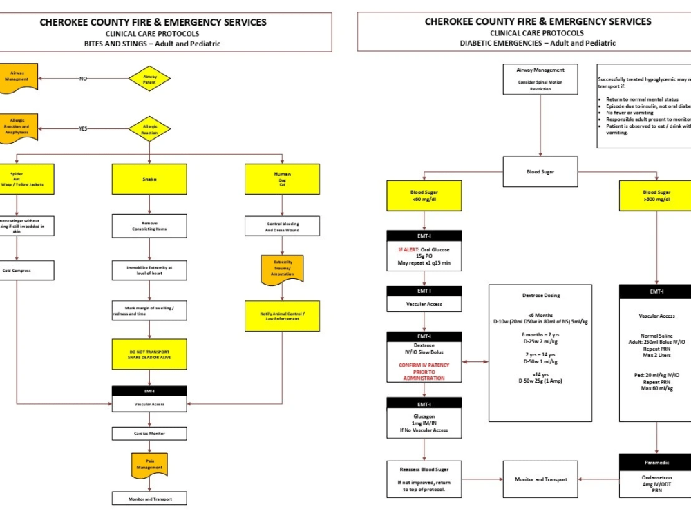 A professional visio flow chart/Process, Timeline & Org chart design ...