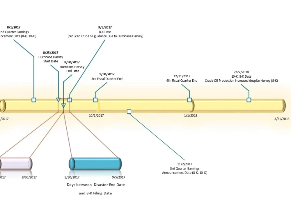 A professional visio flow chart/Process, Timeline & Org chart design ...