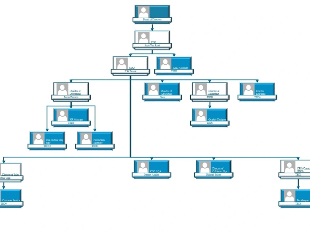 A professional visio flow chart/Process, Timeline & Org chart design ...
