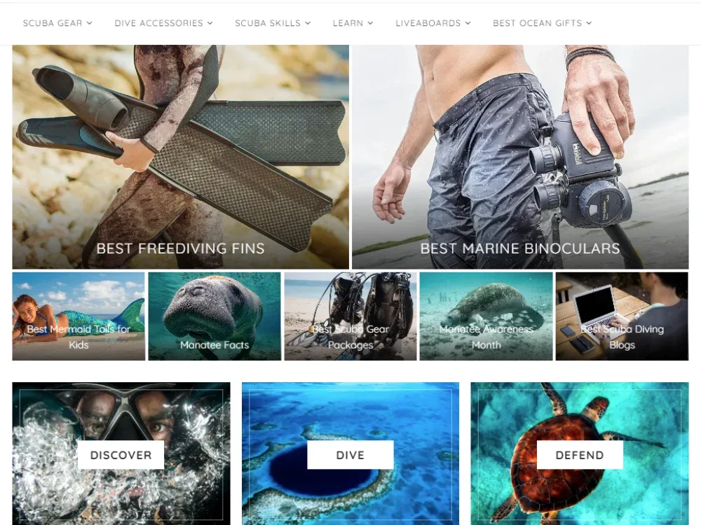 Wordpress Customization Theme Customization Fixes And Re Design Upwork