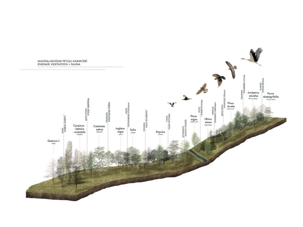 A 2D Landscape Plan | Upwork